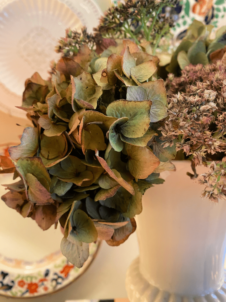 My Favorite Dried Flower Stems For Fall - Farmhouse 1820
